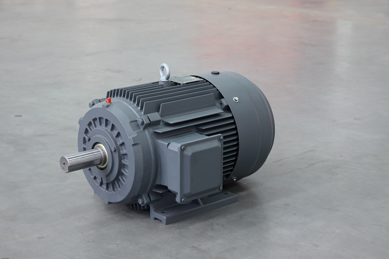 SM series three-phase induction motor - Equipmentimes.com